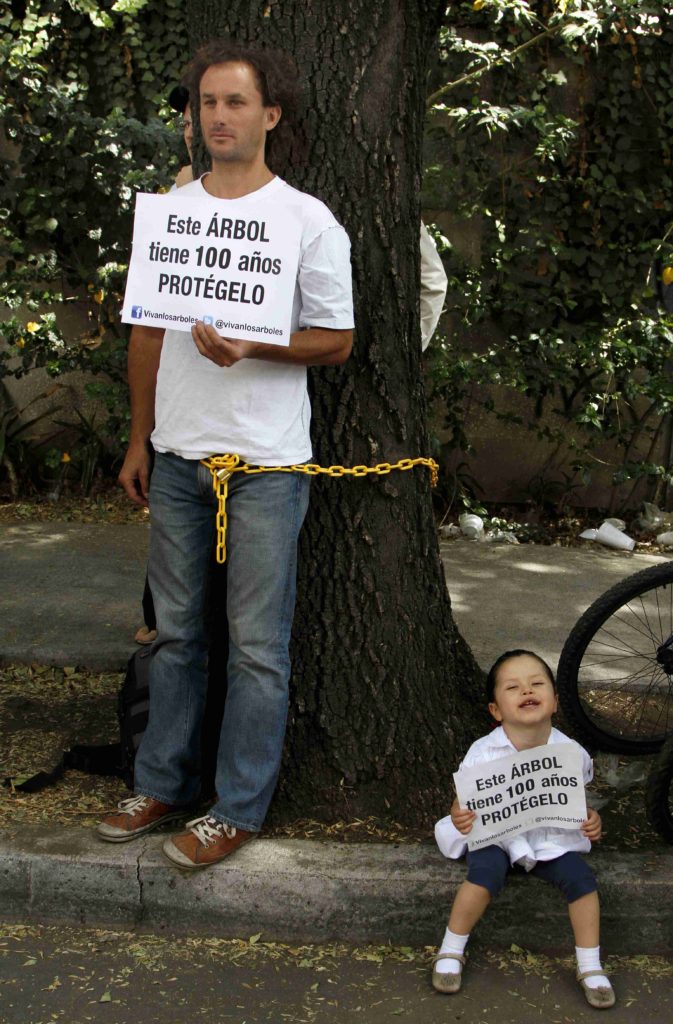 Crónica de la defensa de un árbol | Abriendo Jaulas